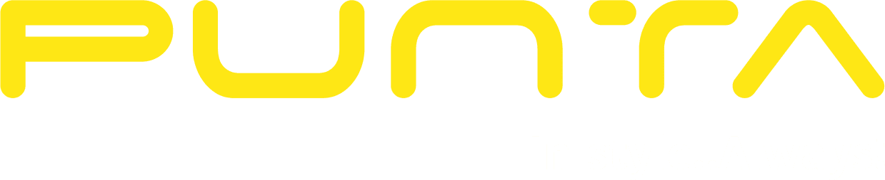 PUNTA LED MONITOR EVALIA P18 HDMI - Puntaglobal